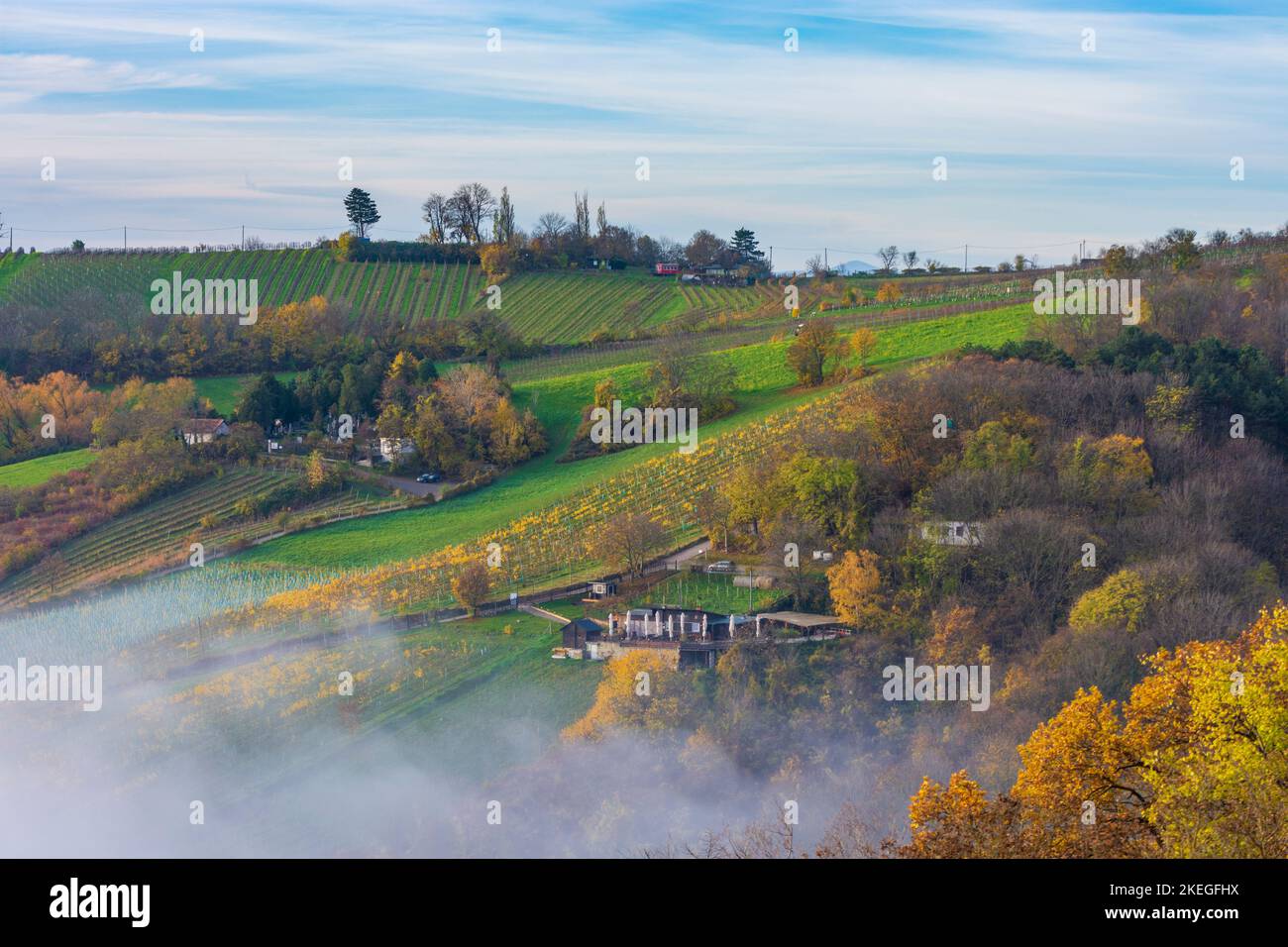 Heurige wien hi-res stock photography and images - Alamy