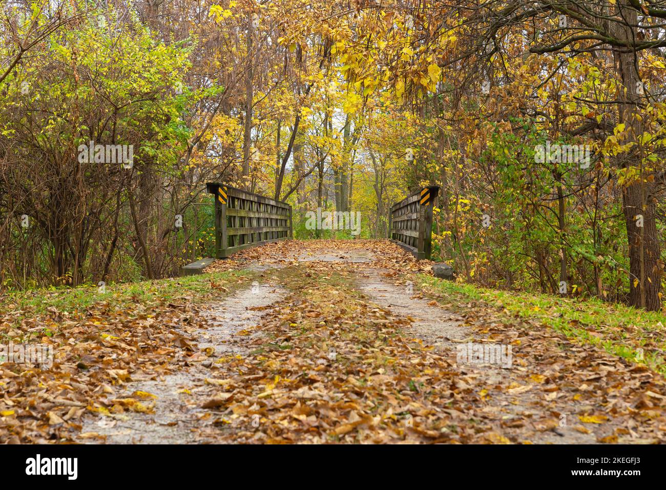 Leaf covered tow path hi-res stock photography and images - Alamy