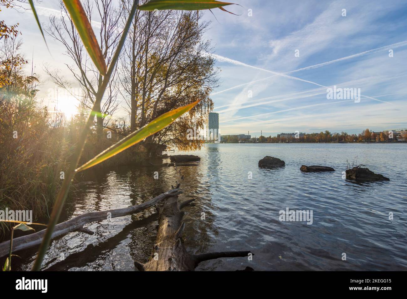 Wien, Vienna: river Donau (Danube), reet at island Donauinsel (left ...