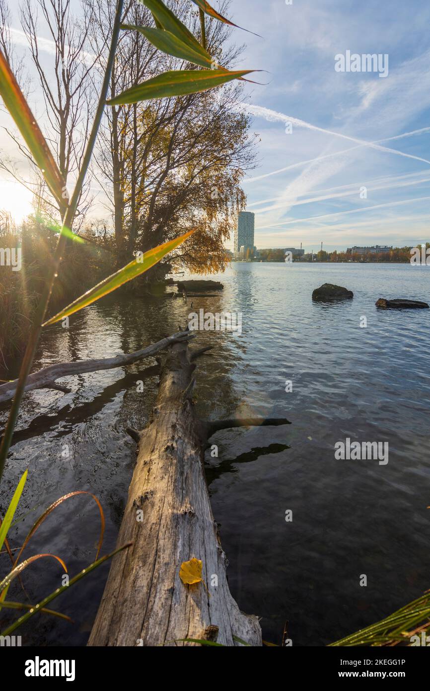 Wien, Vienna: river Donau (Danube), reet at island Donauinsel (left ...