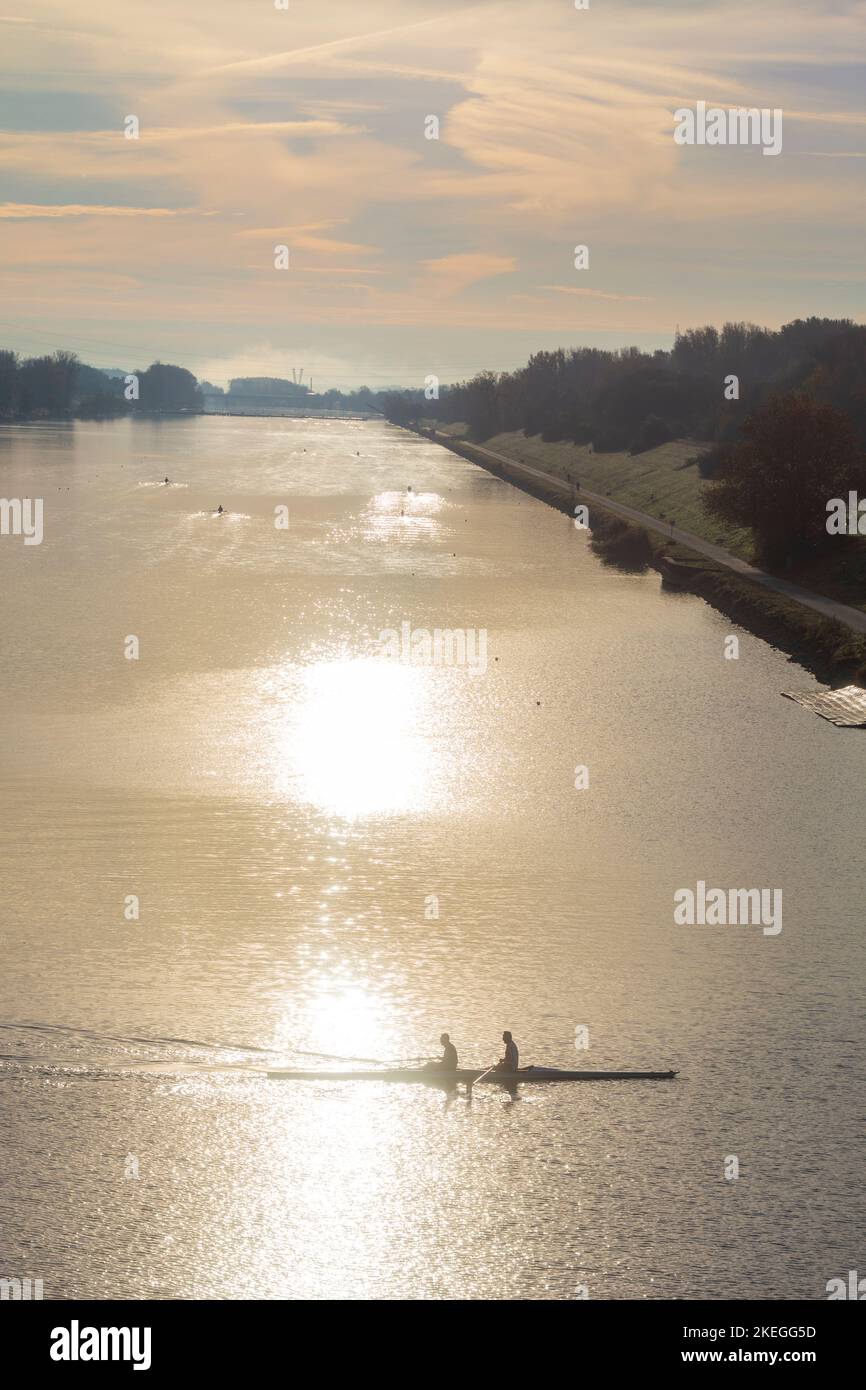 Wien, Vienna: river Neue Donau (New Danube), rower, rowing boats at ...
