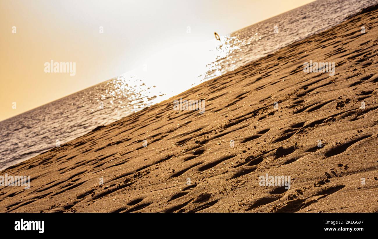 Donana National Park in Spain A UNESCO World Heritage Site Stock Photo ...