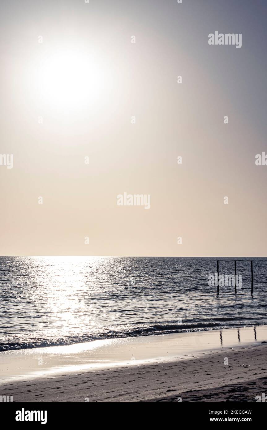 Parque nacional de doana hi-res stock photography and images - Alamy