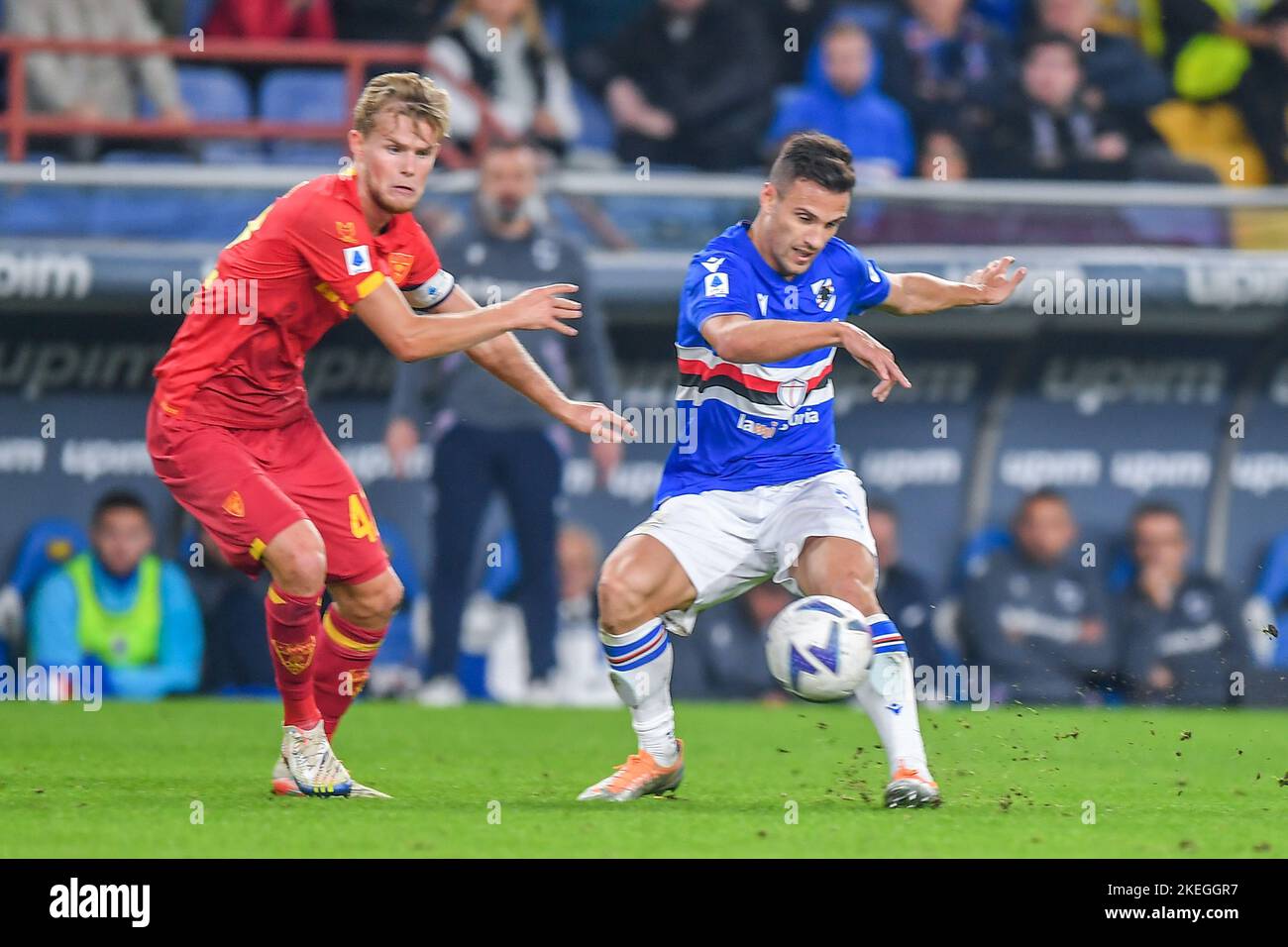 Hjulmand morten blom due hi-res stock photography and images - Alamy