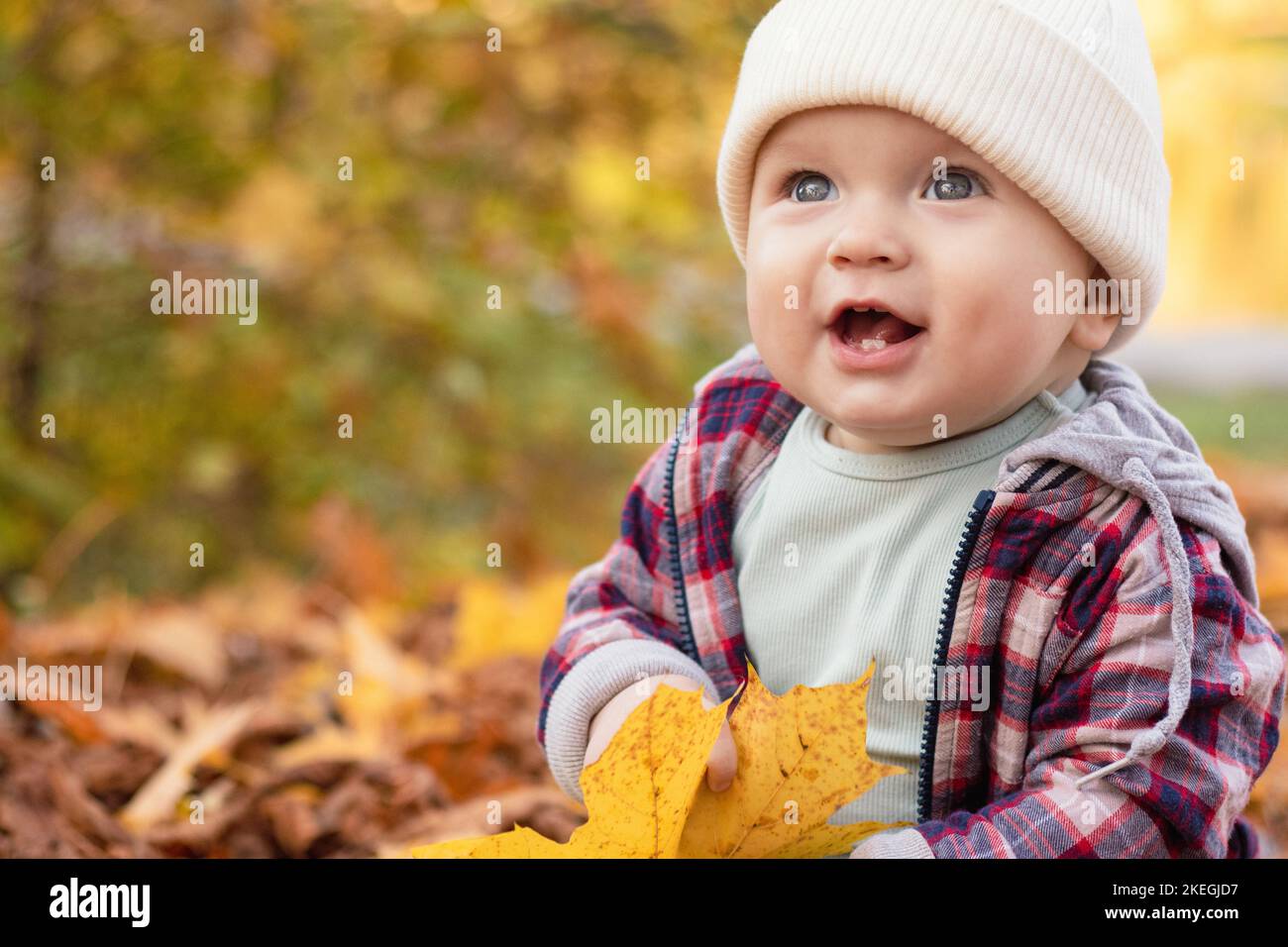 Little cute baby boy have fun outdoors in the park in autumn time Stock ...