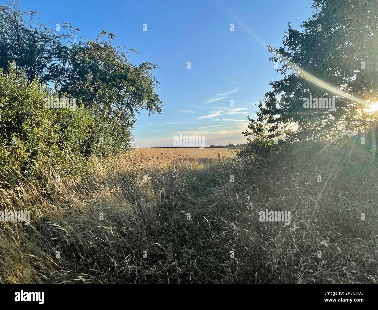 A landscape view of the Gateway to the fields Stock Photo - Alamy
