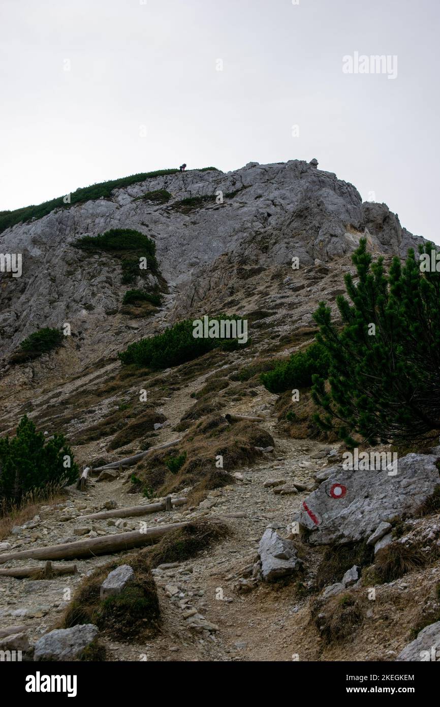 Marked hiking route in the alps Stock Photo - Alamy