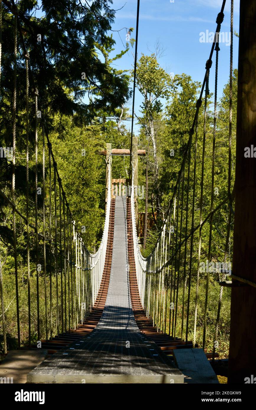 Suspension bridge over pond with Lakeshore Adventures Zip Line Tours ...