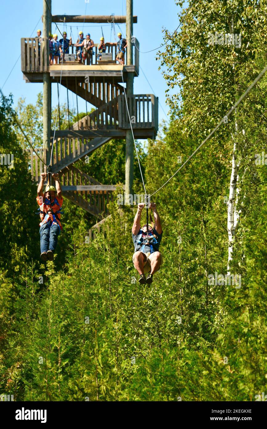 People on high adventure on zipline course through forest canopy with ...