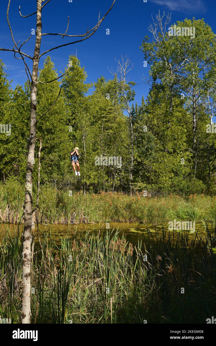 Canopy tours’ forest zipline hi-res stock photography and images - Alamy