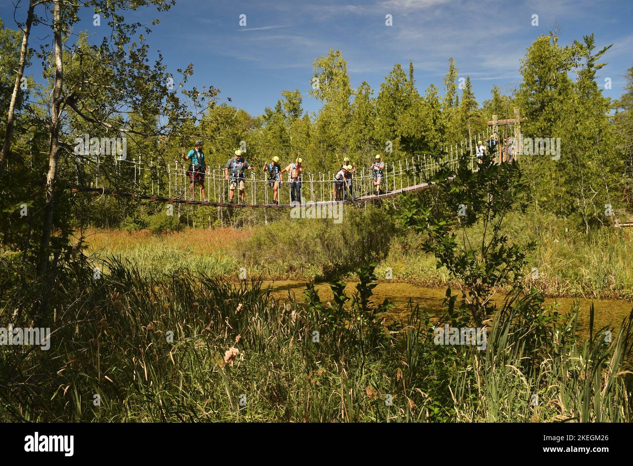 People crossing suspension bridge over pond with Lakeshore Adventures ...