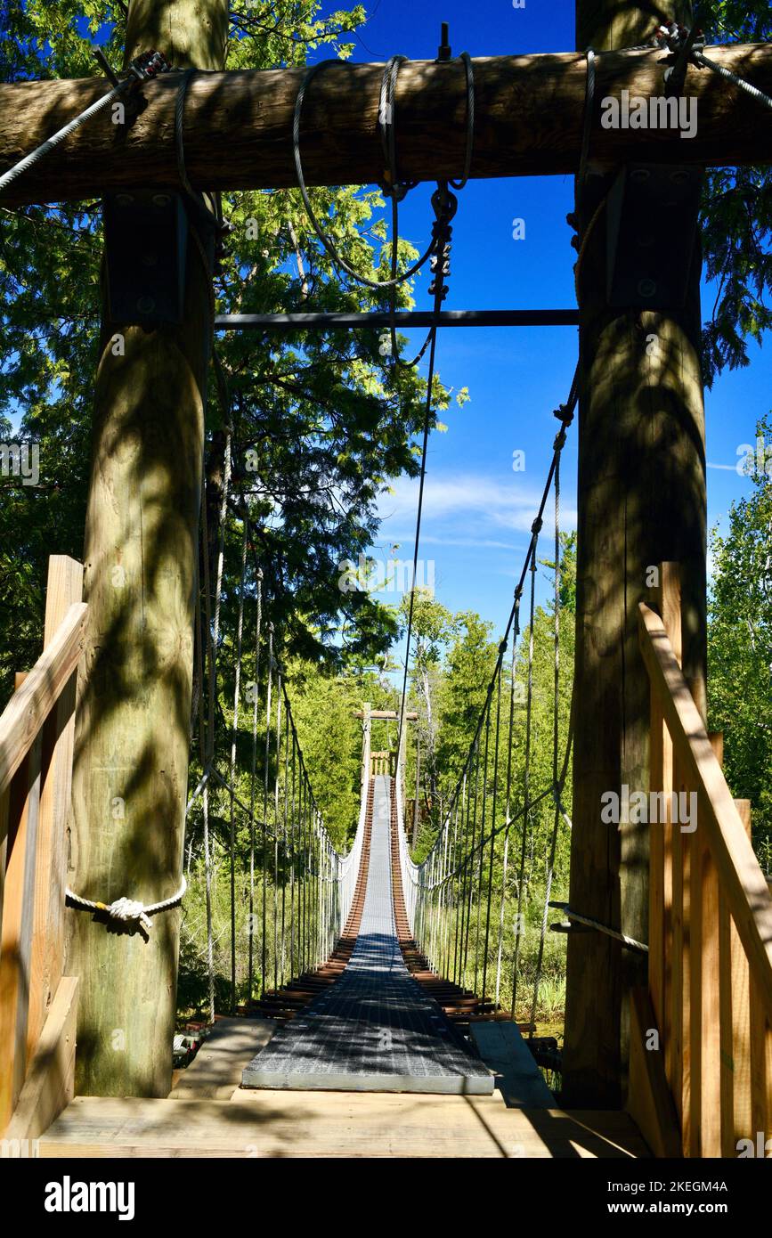 Suspension bridge over pond with Lakeshore Adventures Zip Line Tours ...