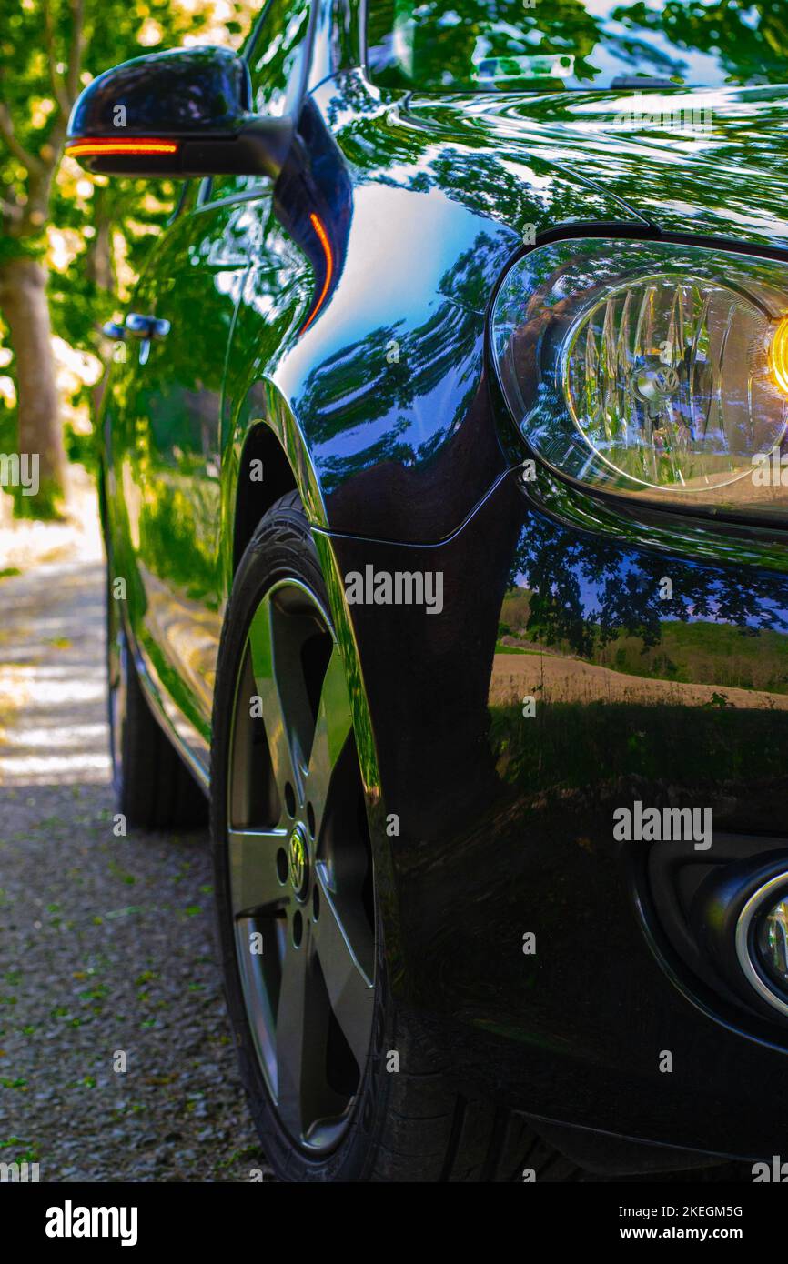 A vertical shot of the Volkswagen car in the forest Stock Photo - Alamy