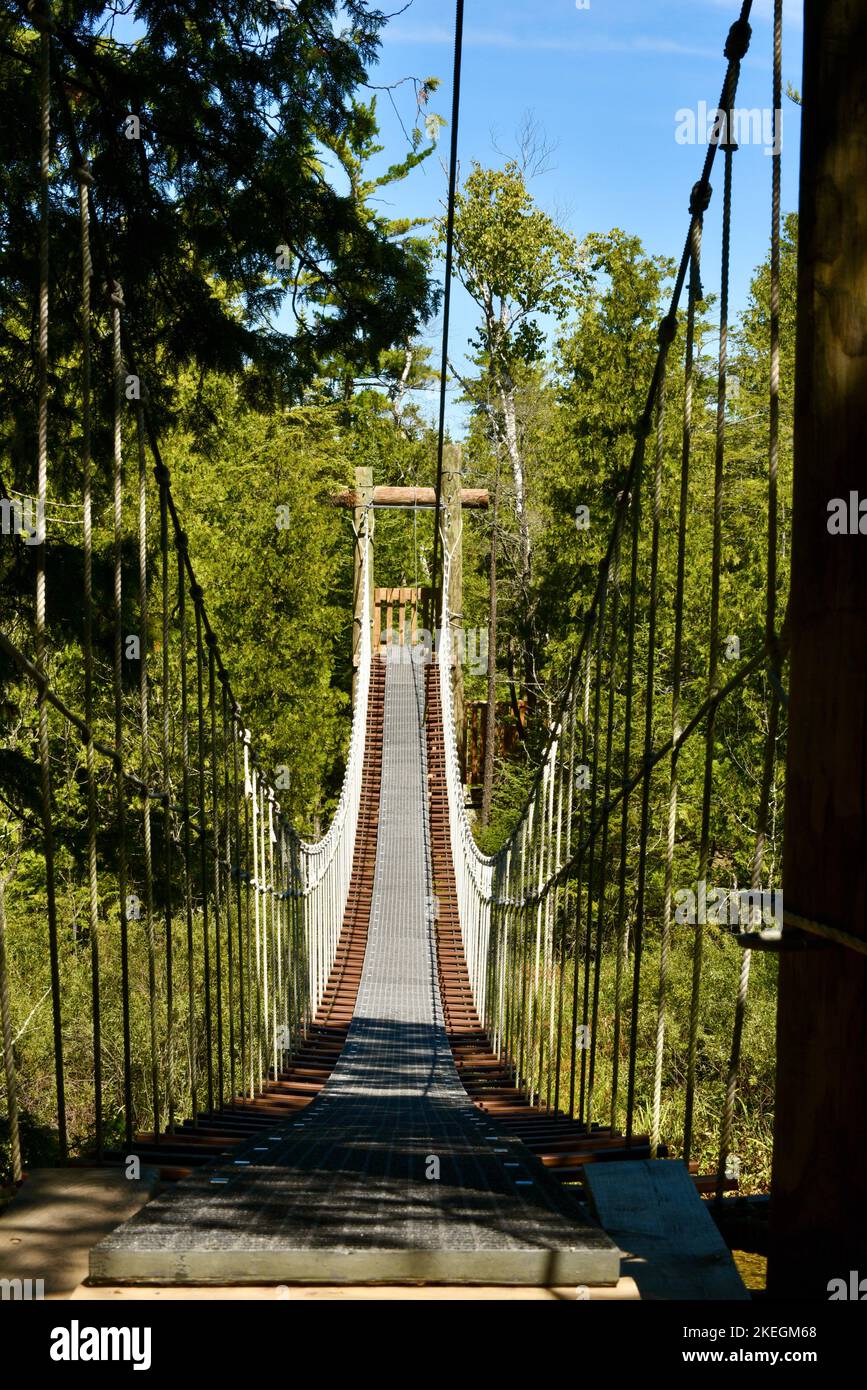 Suspension bridge over pond with Lakeshore Adventures Zip Line Tours ...
