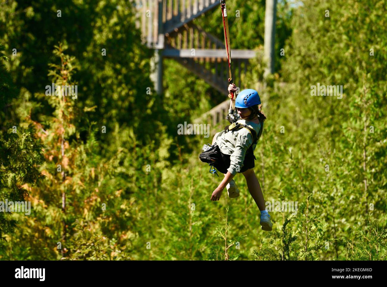 Beautiful cute young woman gliding through forest canopy with Lakeshore ...