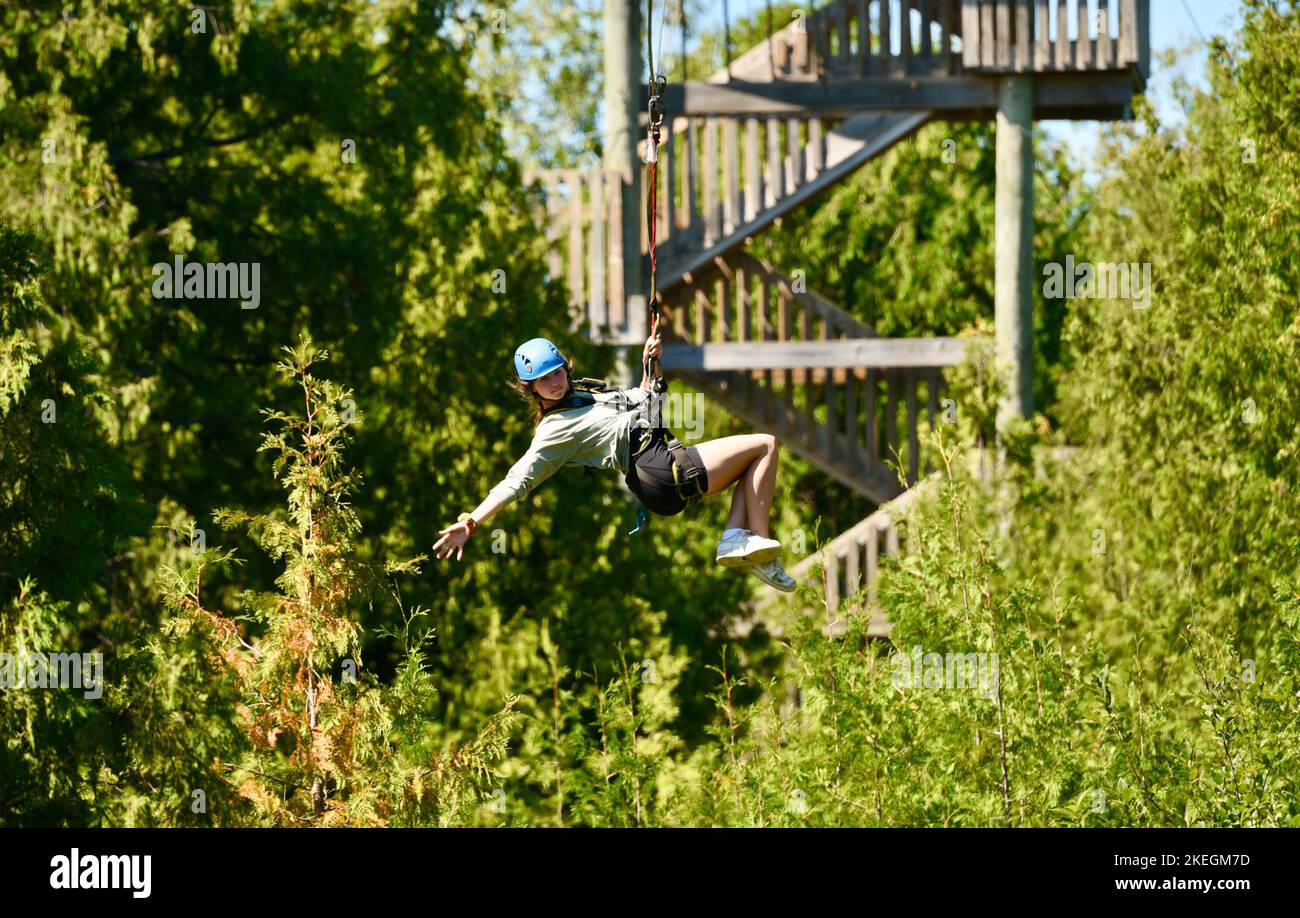 Beautiful cute young woman gliding through forest canopy with Lakeshore ...