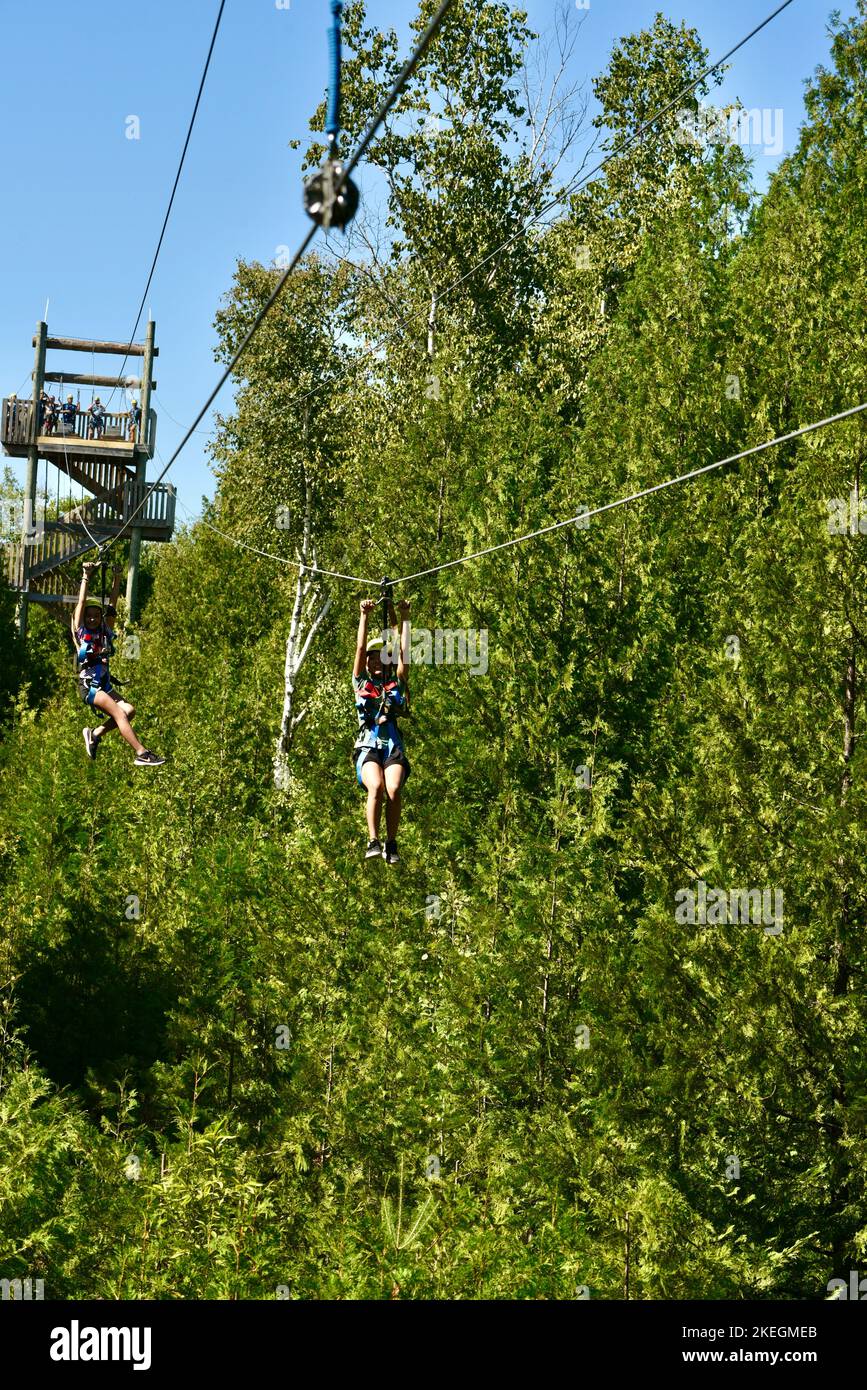 Children high adventure on zipline course through forest canopy with ...