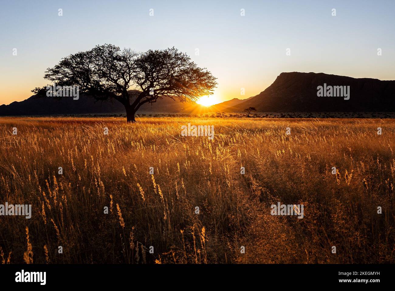A golden sunset over the Namtib Biosphere Reserve and Tiras Mountains ...