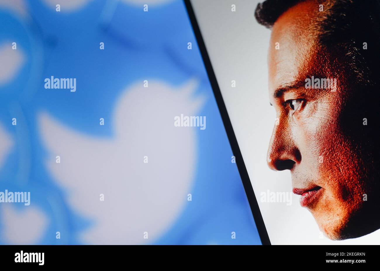 Elon Musk along with the Twitter logo is seen in this illustration ...