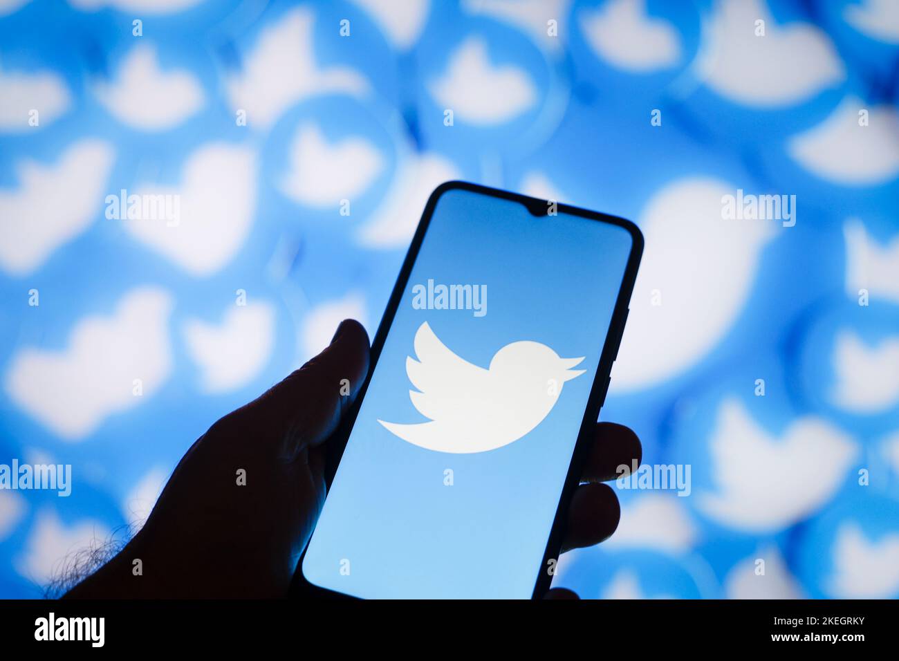 A Twitter logo is seen on a mobile device in this illustration photo ...