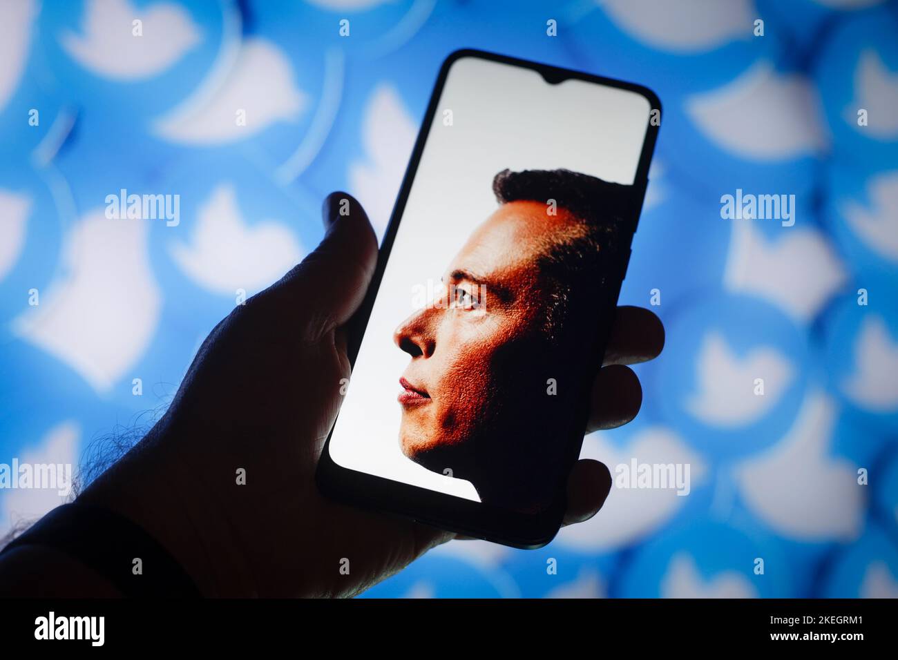 Elon Musk along with the Twitter logo is seen in this illustration ...