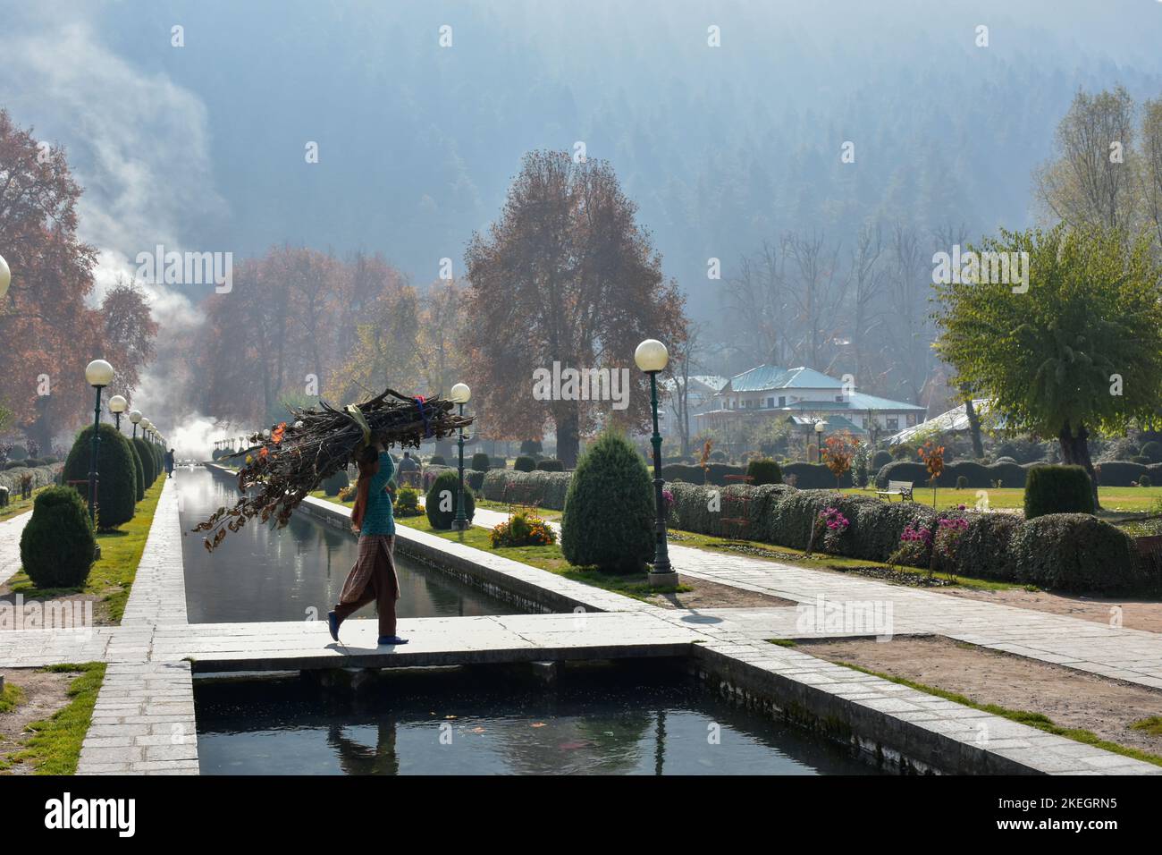 A Kashmiri woman is seen carrying fire-wood as she walks along the ...