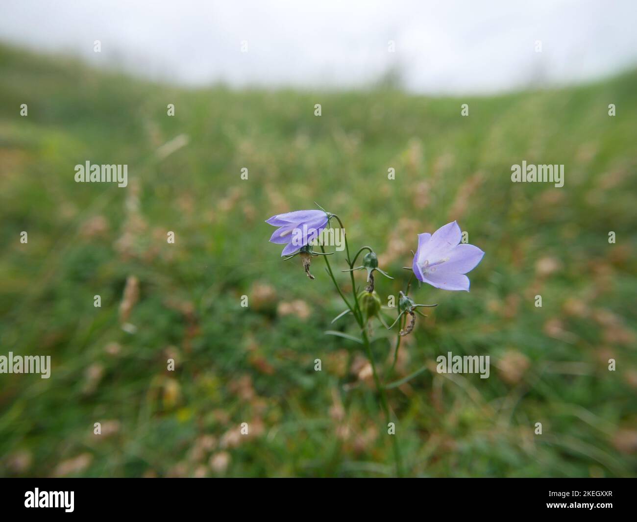 Welsh mountain landscapes hi-res stock photography and images - Alamy