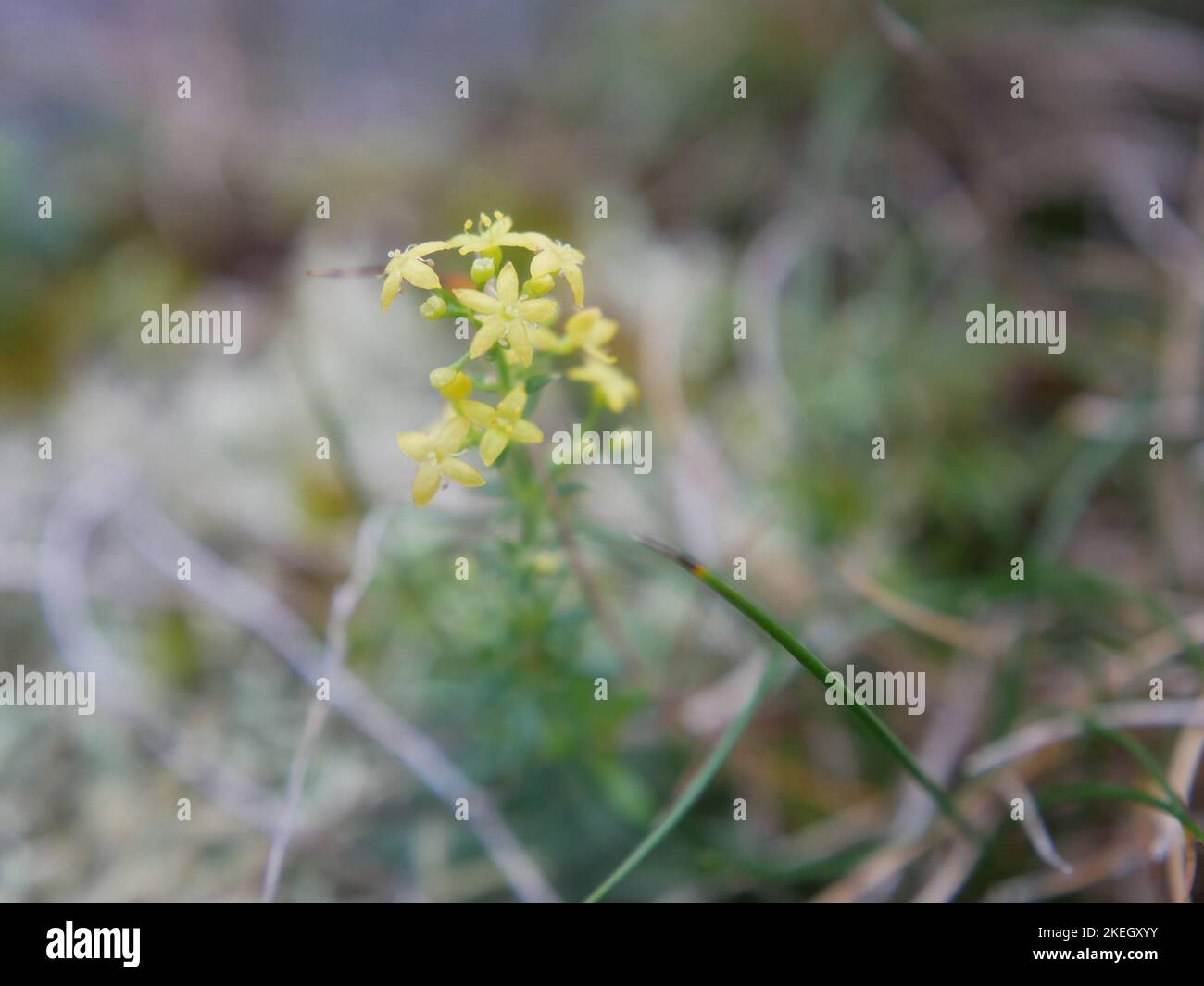 Welsh mountain landscapes hi-res stock photography and images - Alamy