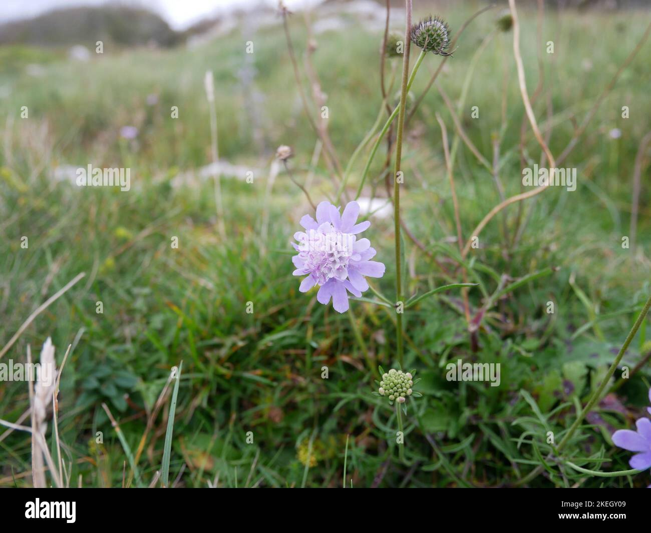 Welsh mountain landscapes hi-res stock photography and images - Alamy