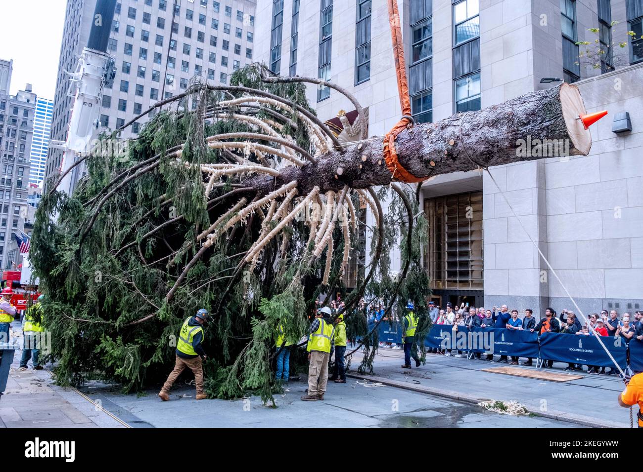 New York, New York, USA. 12th Nov, 2022. An 82 foot tall, 50 feet in ...