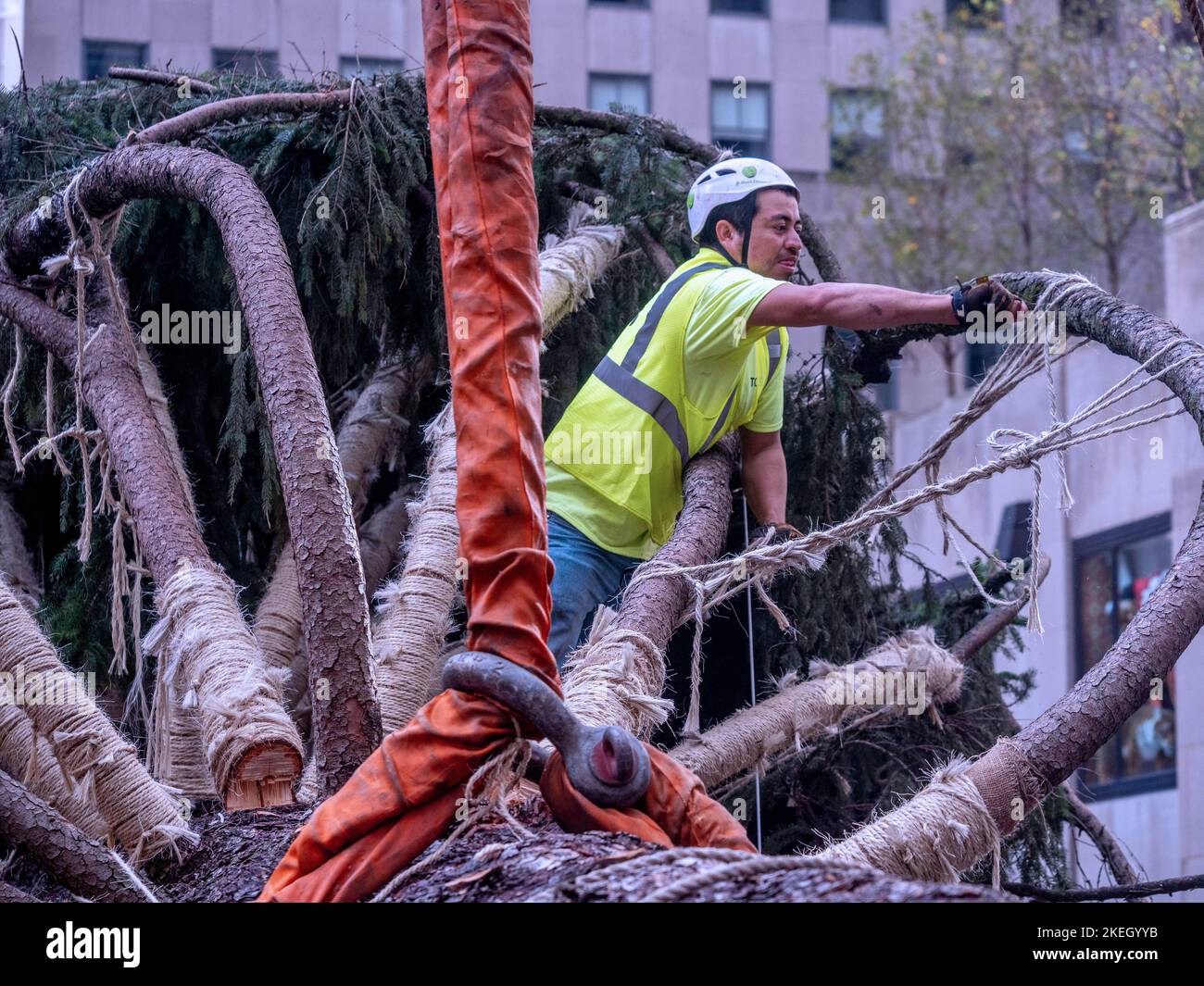 New York, New York, USA. 12th Nov, 2022. An 82 foot tall, 50 feet in ...