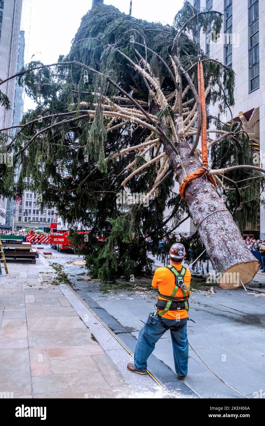 New York, New York, USA. 12th Nov, 2022. An 82 foot tall, 50 feet in ...