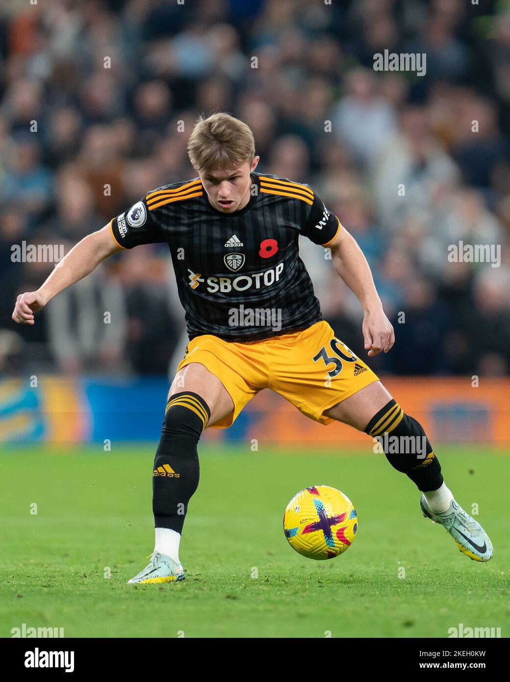 Joe Gelhardt #30 of Leeds United during the Premier League match ...