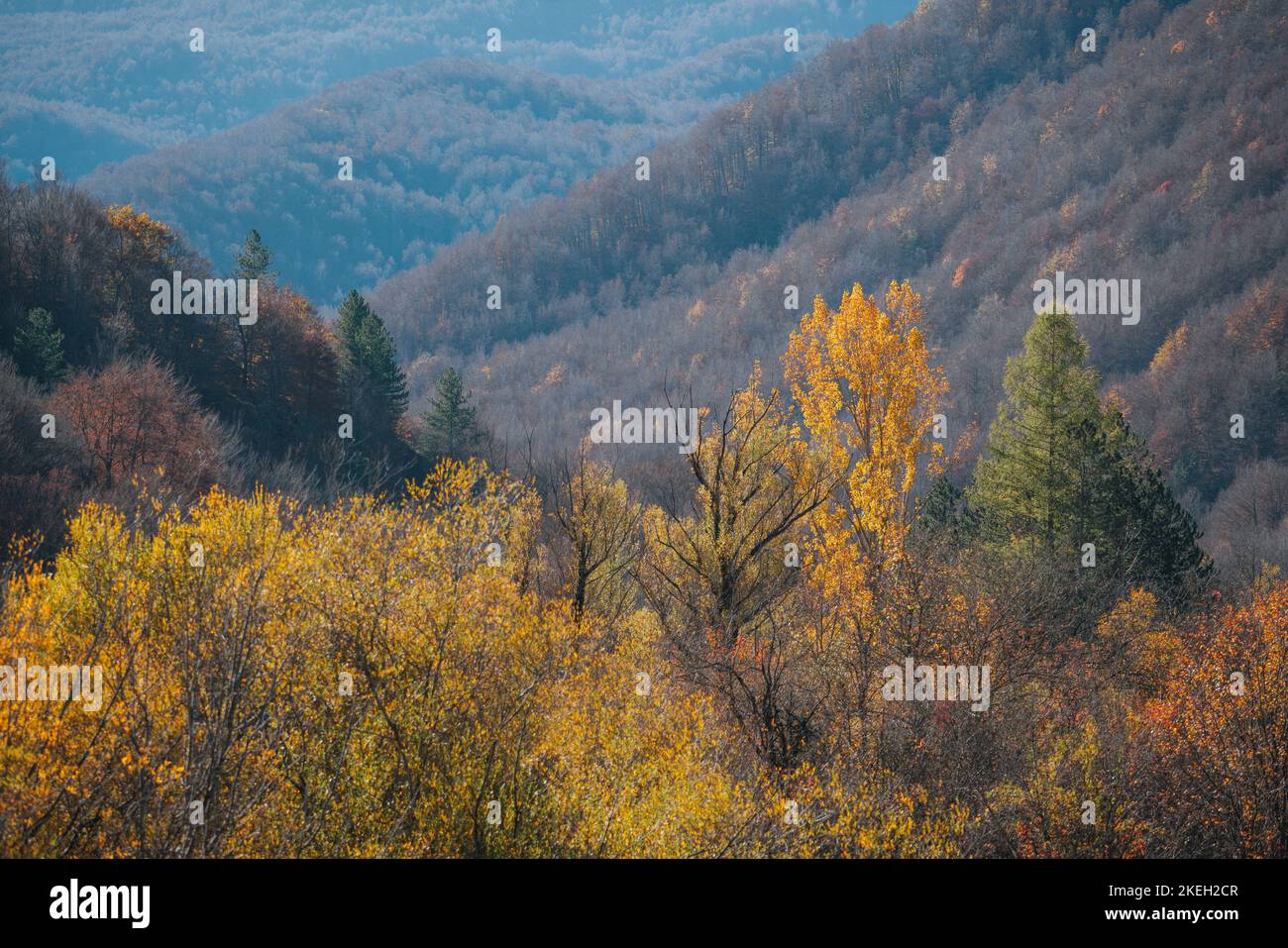 colorful autumn foliage Parco Nazionale Abruzzo Italy Stock Photo - Alamy