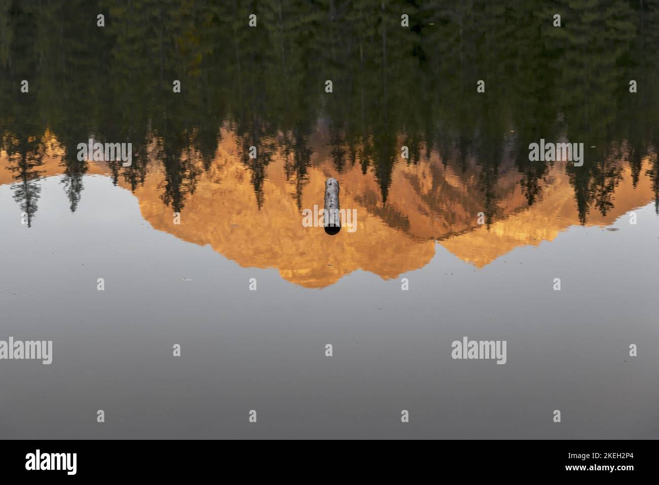 Sunlit Mountain Peak, Green Pine Forest Fallen Log Tree Upside Down ...