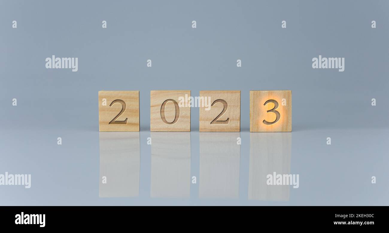 Wooden blocks lined up with the letters 2023. Represents the goal ...