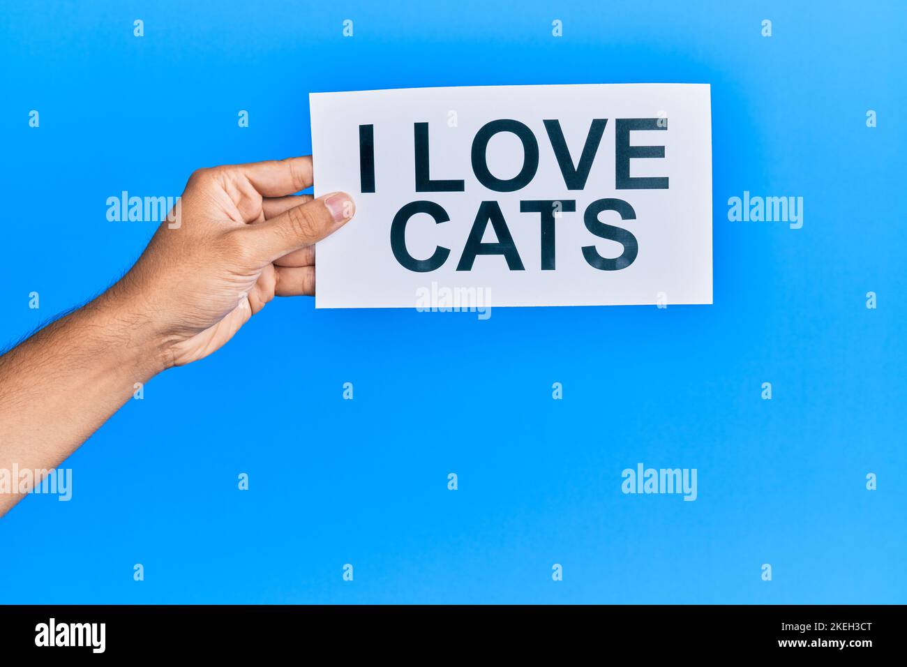Hand of caucasian man holding paper with i love cats message over ...