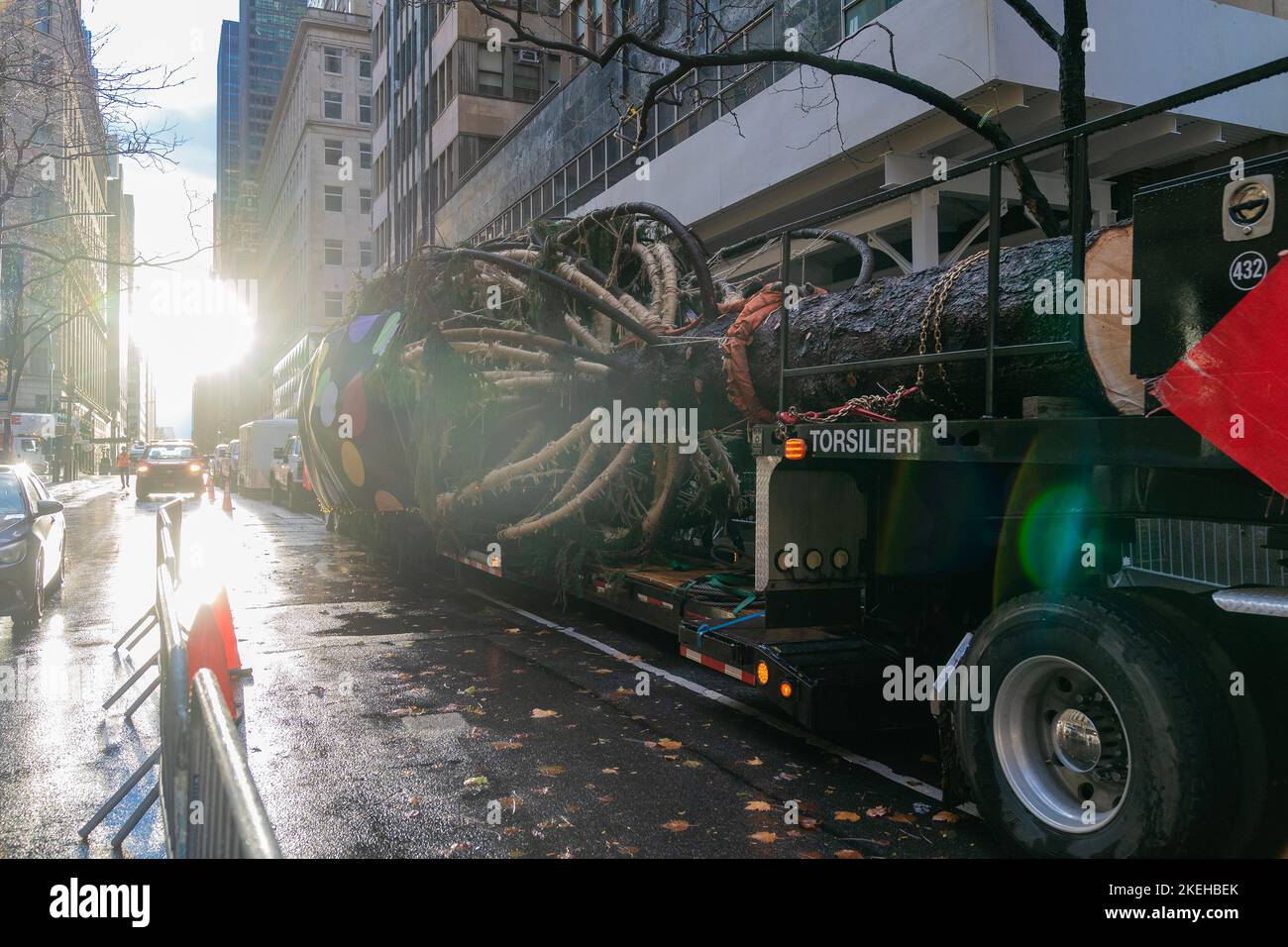 2022 Rockefeller Center Christmas Tree, an 82-foot Norway Spruce ...