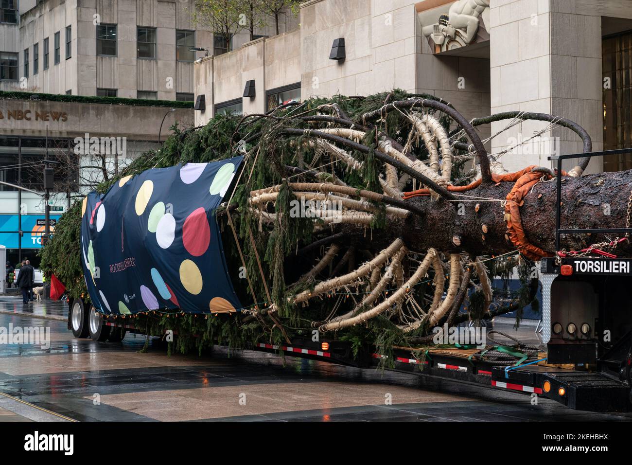 2022 Rockefeller Center Christmas Tree, an 82-foot Norway Spruce ...