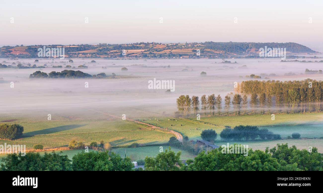 A misty morning sunrise over the Somerset Levels Stock Photo - Alamy