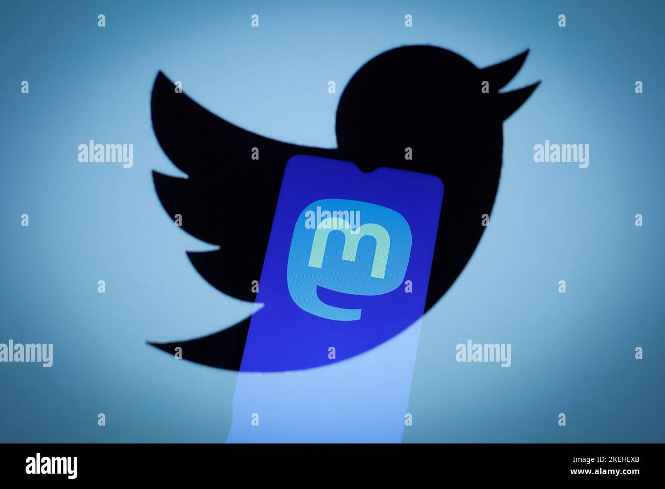The Twitter and Mastodon app logos are seen in this photo illustration ...