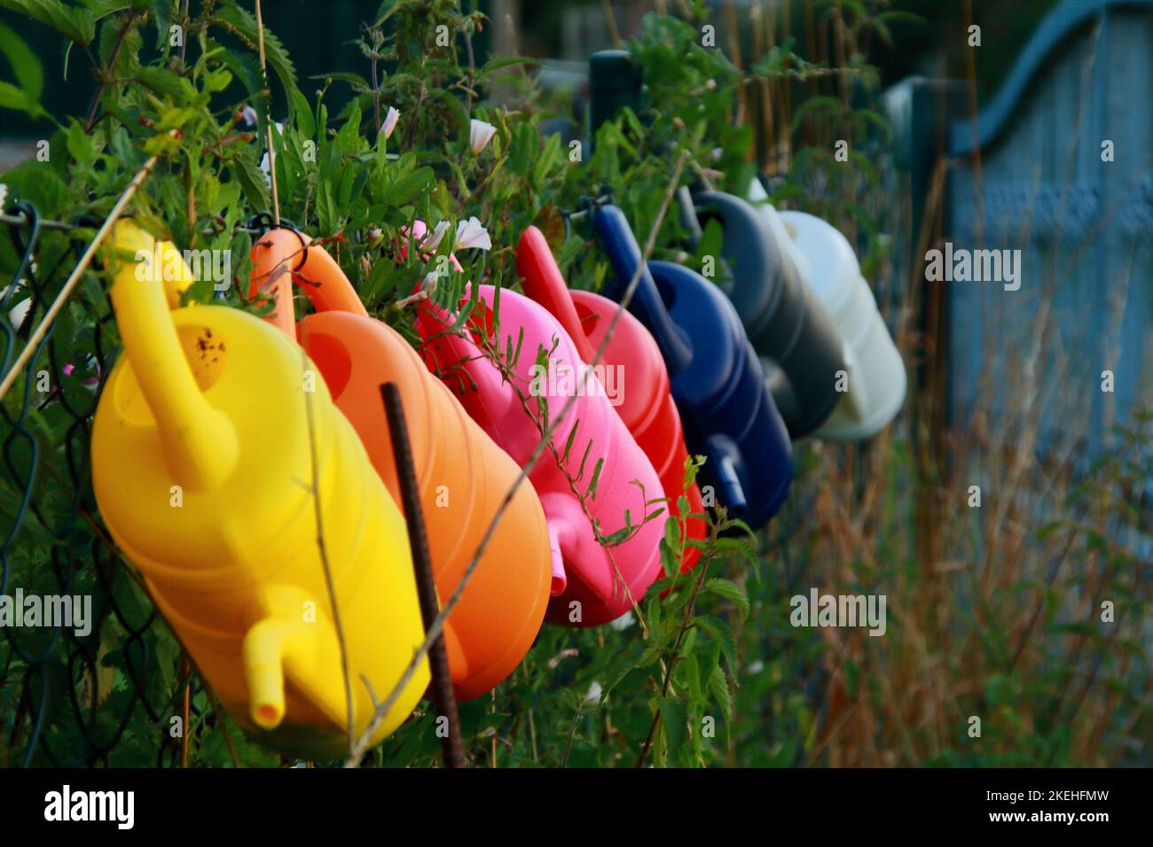 A row of colorful watering cans on a fence against a blurred background ...