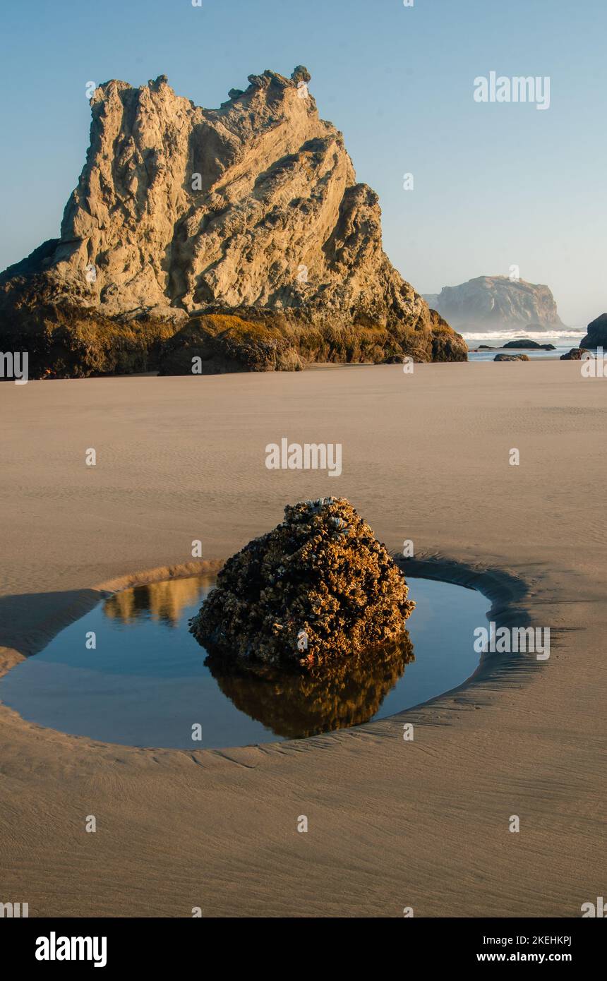 Oregon coast rock pool hi-res stock photography and images - Alamy