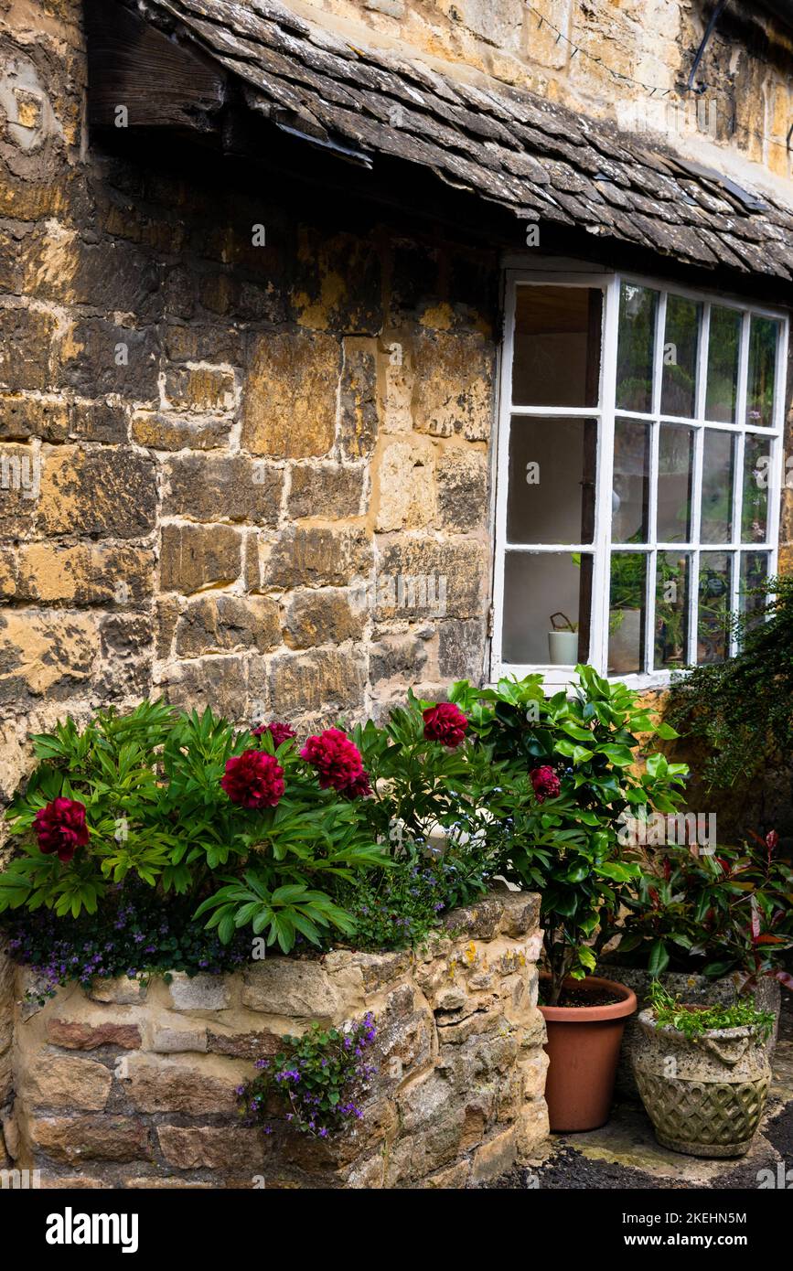 Charming stone planter and shingle roofed stone cottage in the ...