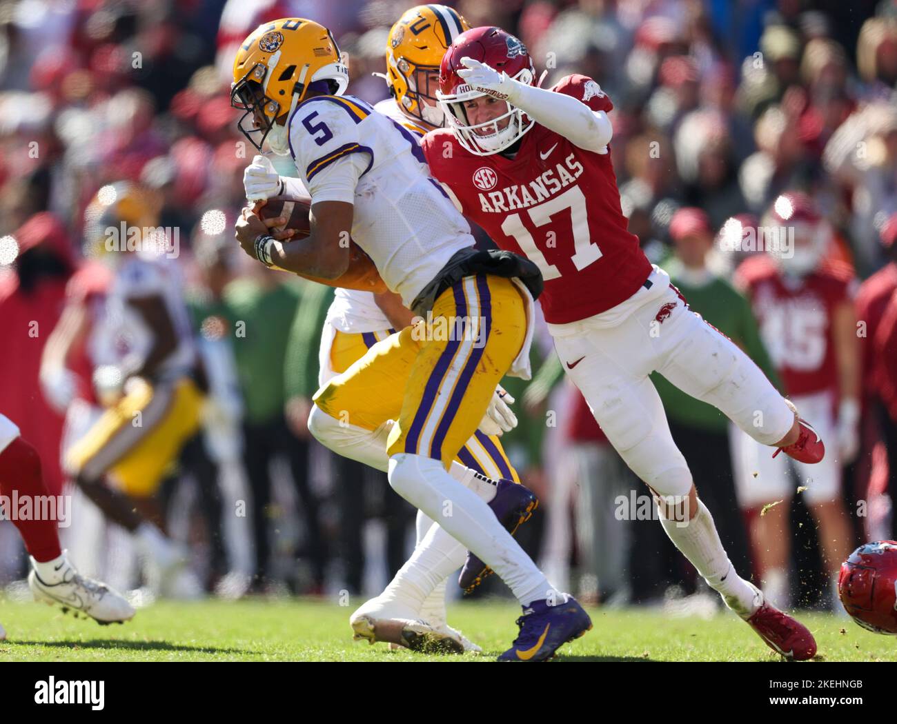 November 12, 2022: Hudson Clark #17 Arkansas defensive back looks to ...