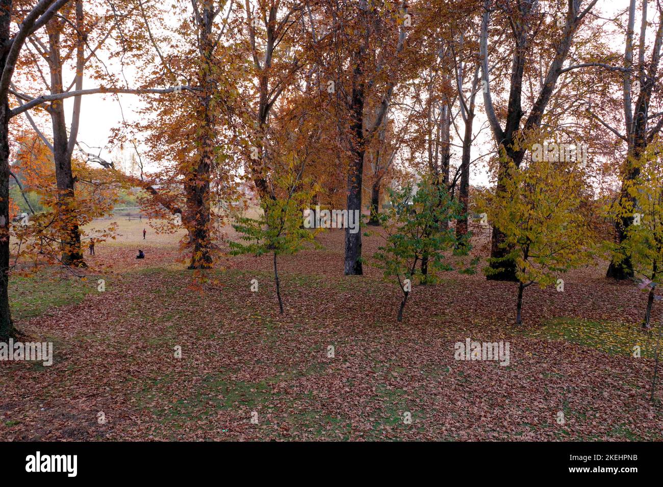 November 12, 2022, Srinagar, Jammu and Kashmir, India: People walk ...