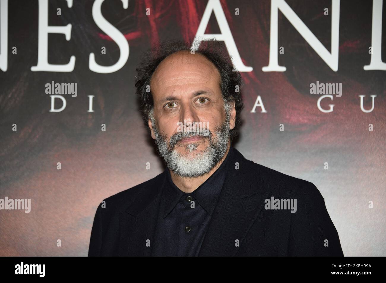 Milan, Italy. 13th Nov, 2022. Milano, Italy Bones and All film ...