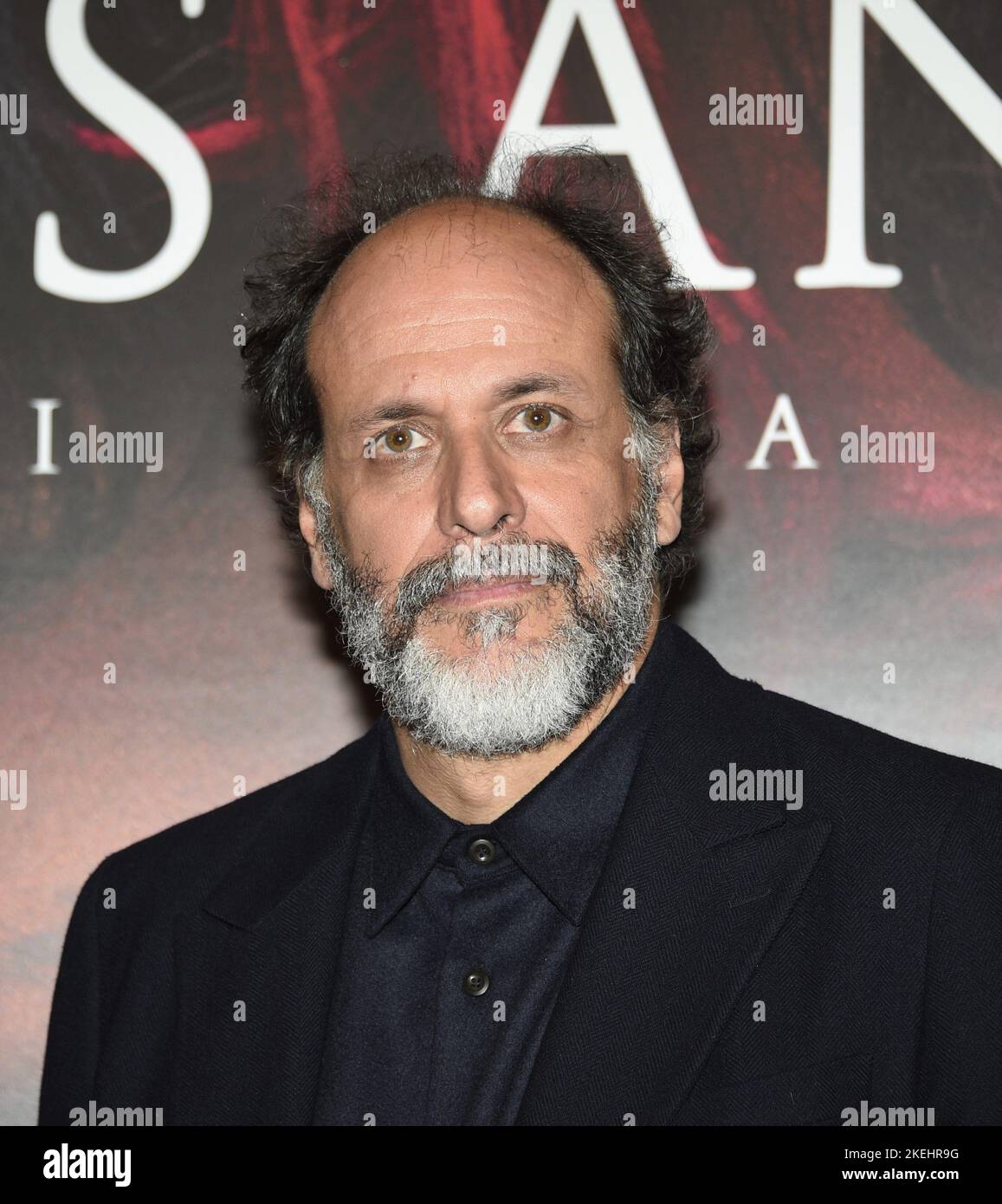 Milan, Italy. 13th Nov, 2022. Milano, Italy Bones and All film ...