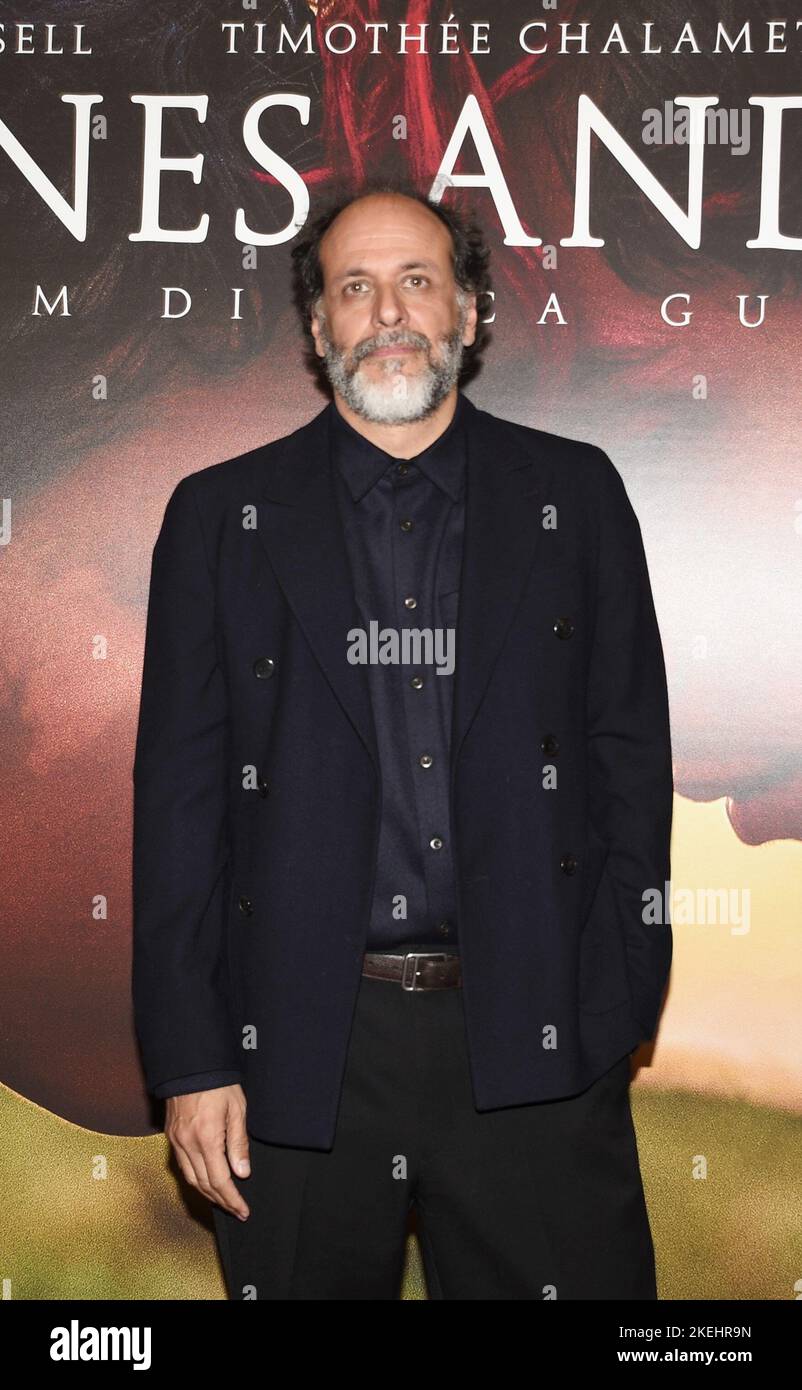 Milan, Italy. 13th Nov, 2022. Milano, Italy Bones and All film ...