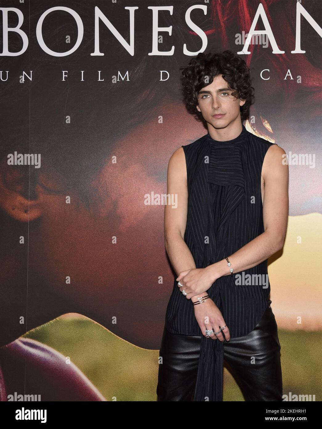 Milan, Italy. 13th Nov, 2022. Milano, Italy Bones and All film ...